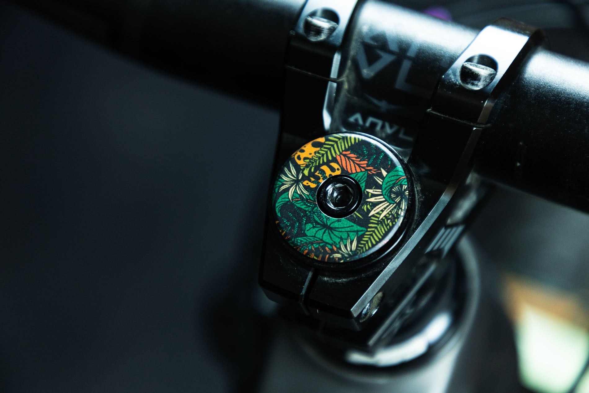 Ground Keeper Botanic Revival Stem Cap | Bicycle Topcap – Ground Keeper ...