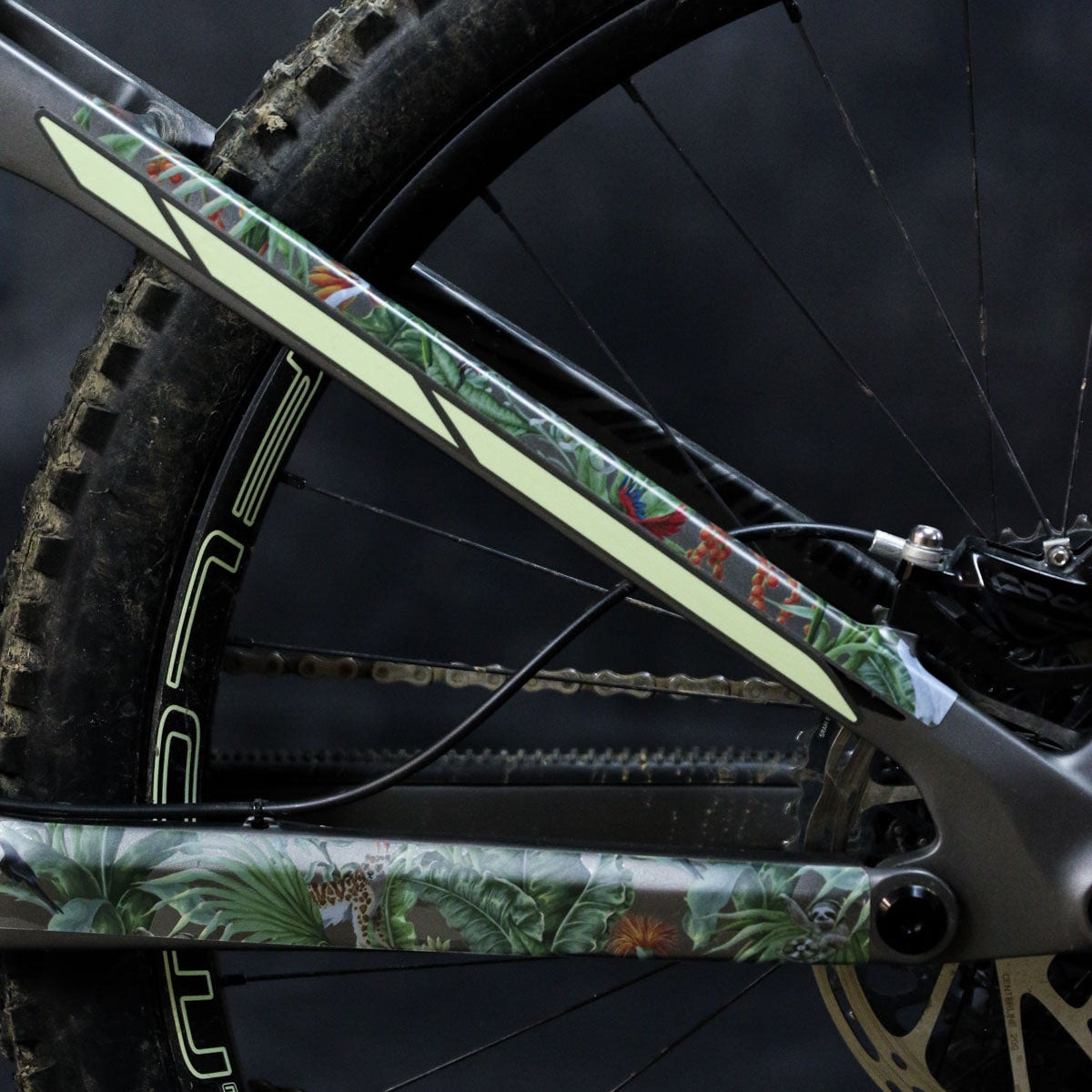 Hype Lotus Frame Keeper – Ground Keeper Custom